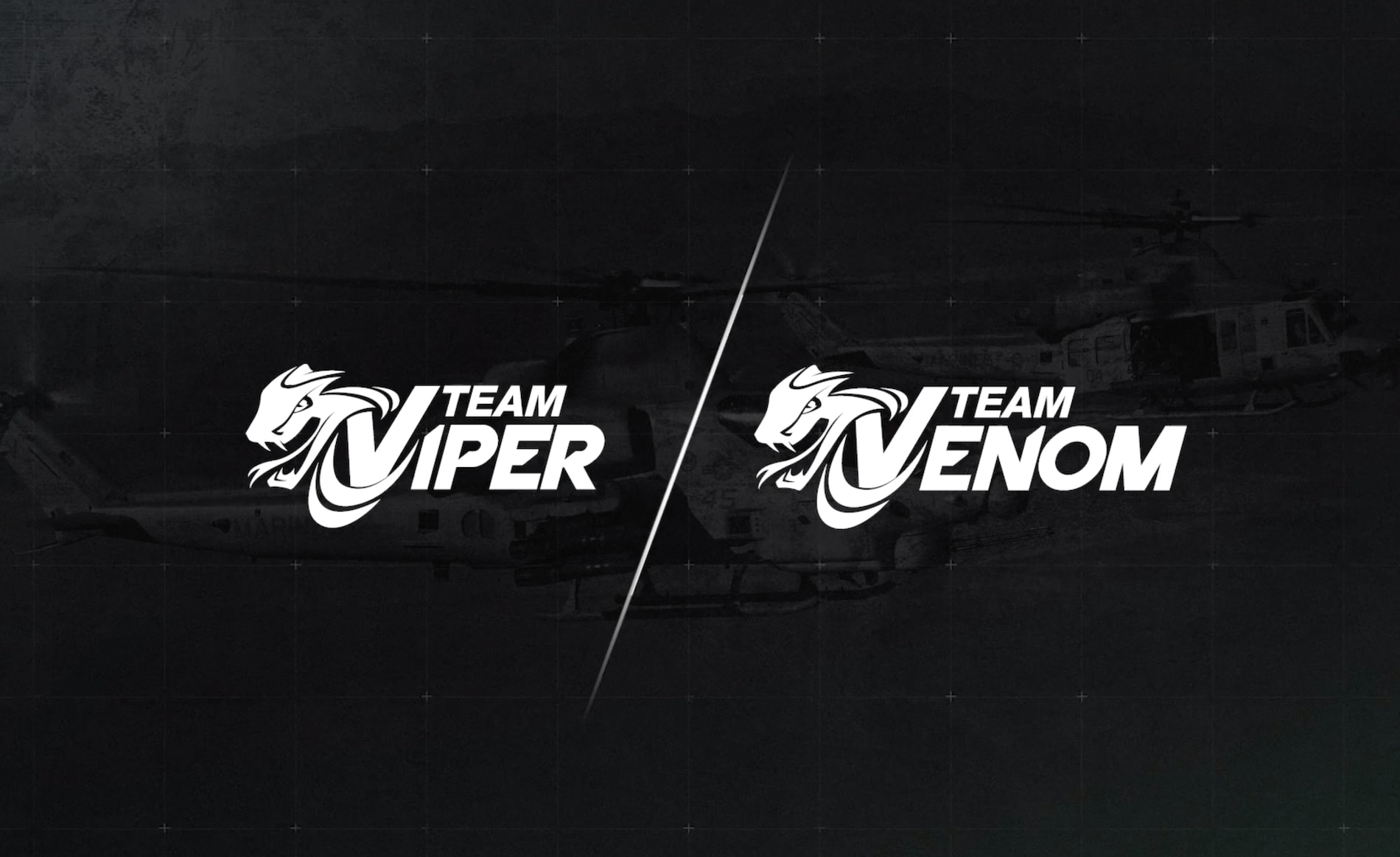 Team Viper / Venom